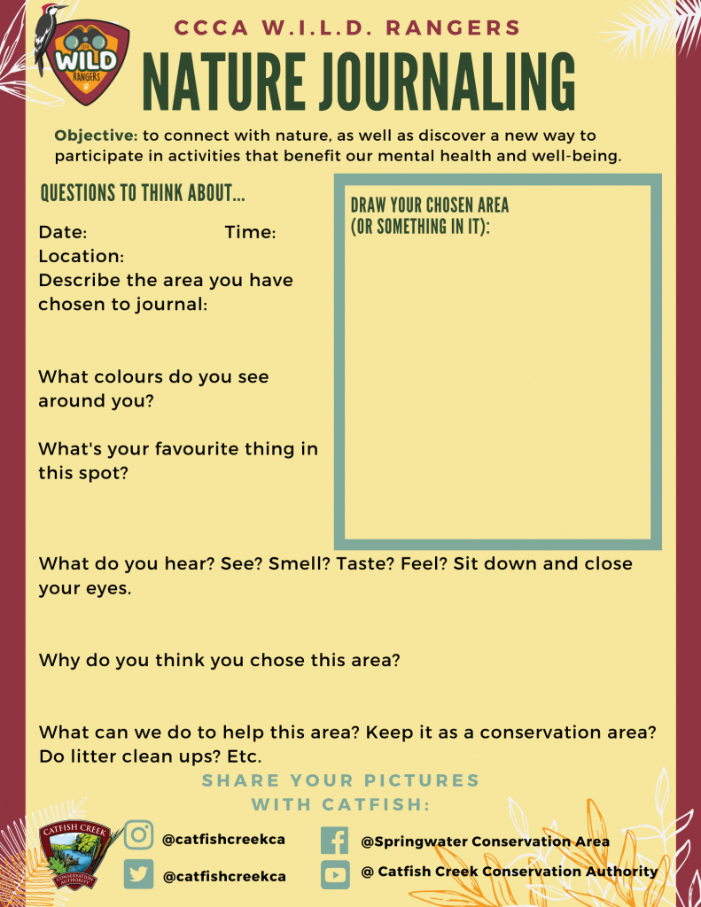 W.I.L.D Rangers Education Programming – Catfish Creek Conservation ...