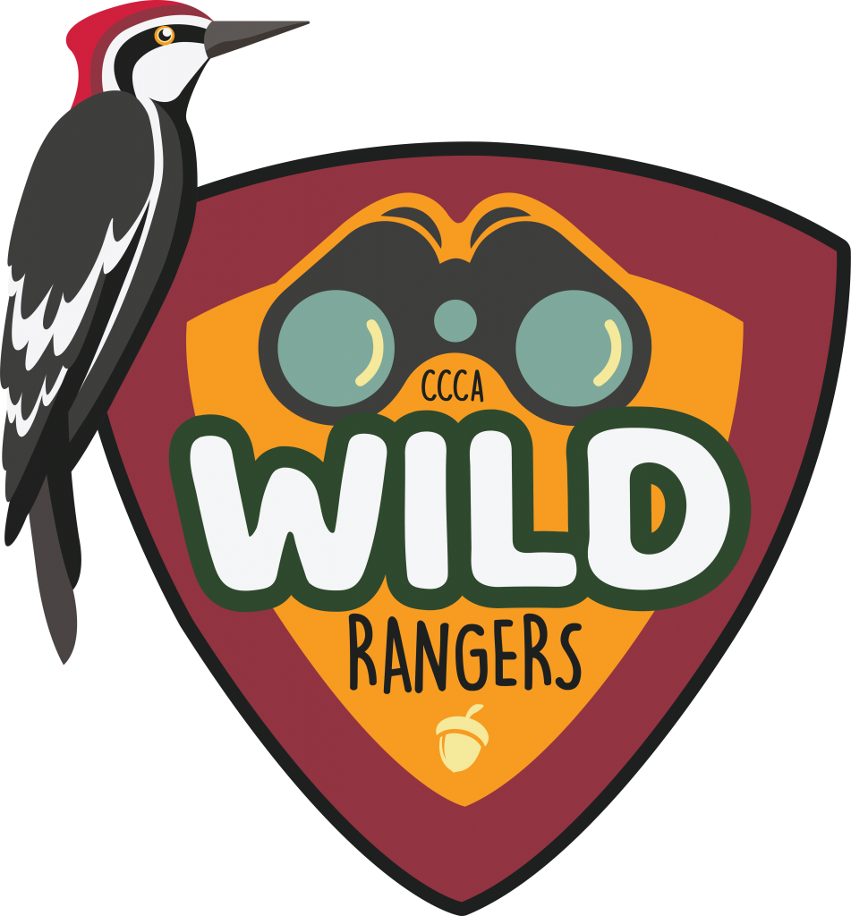 W.I.L.D Rangers Education Programming – Catfish Creek Conservation ...