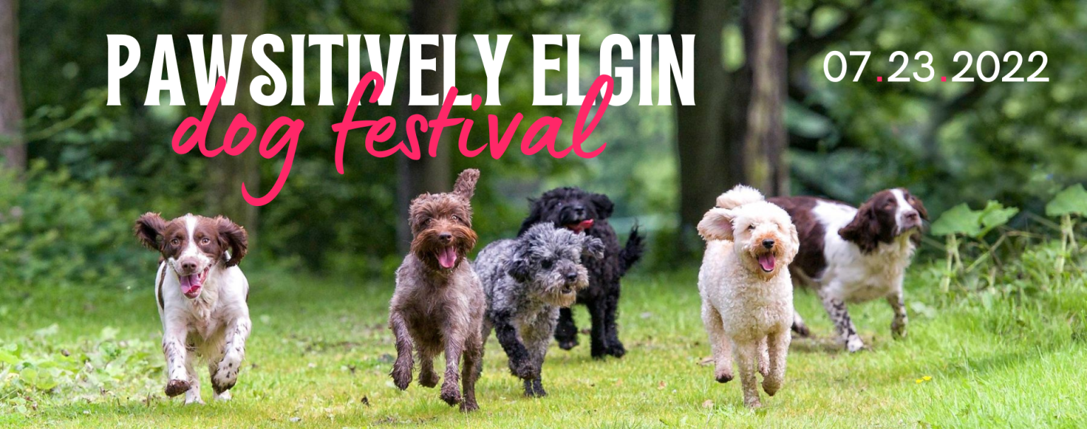 Pawsitively Elgin – Catfish Creek Conservation Authority