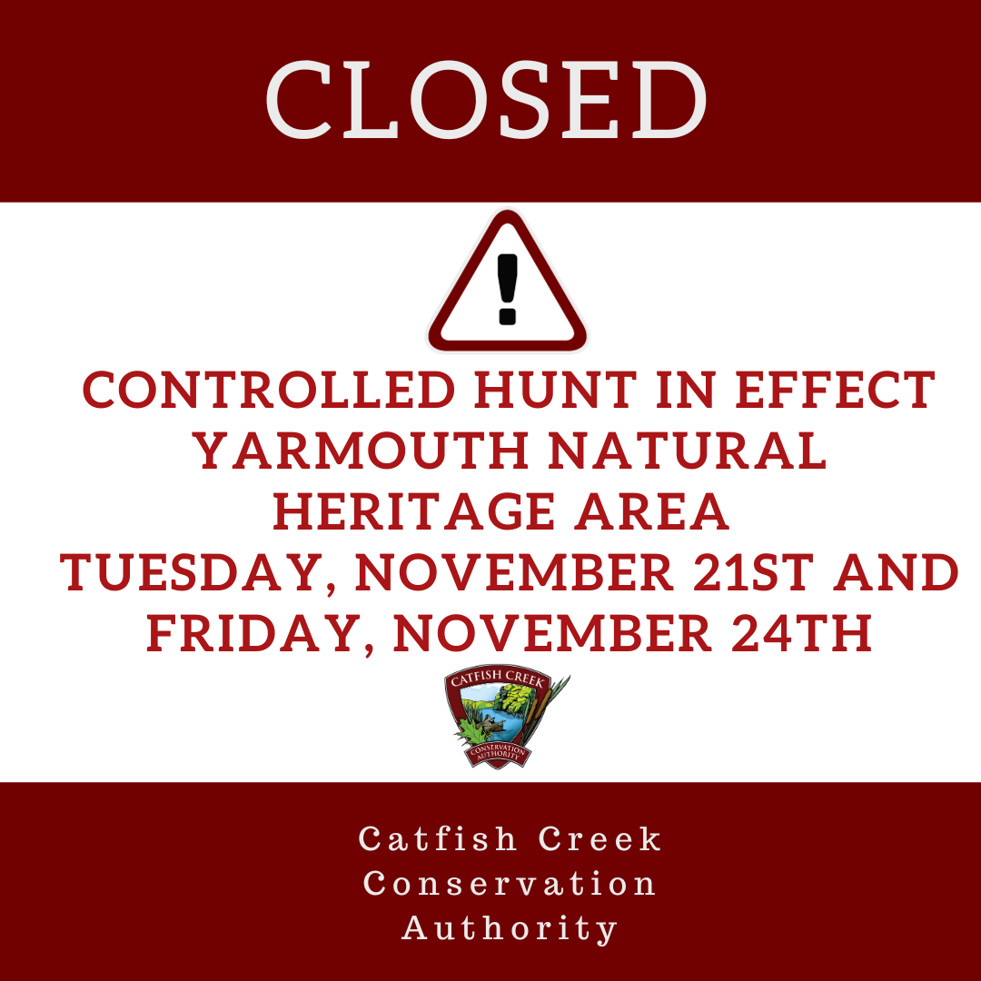 Reforestation Program – Catfish Creek Conservation Authority