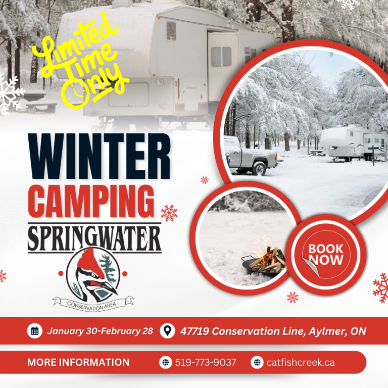 Winter Camping 2025 – Springwater Conservation Area – Catfish Creek ...