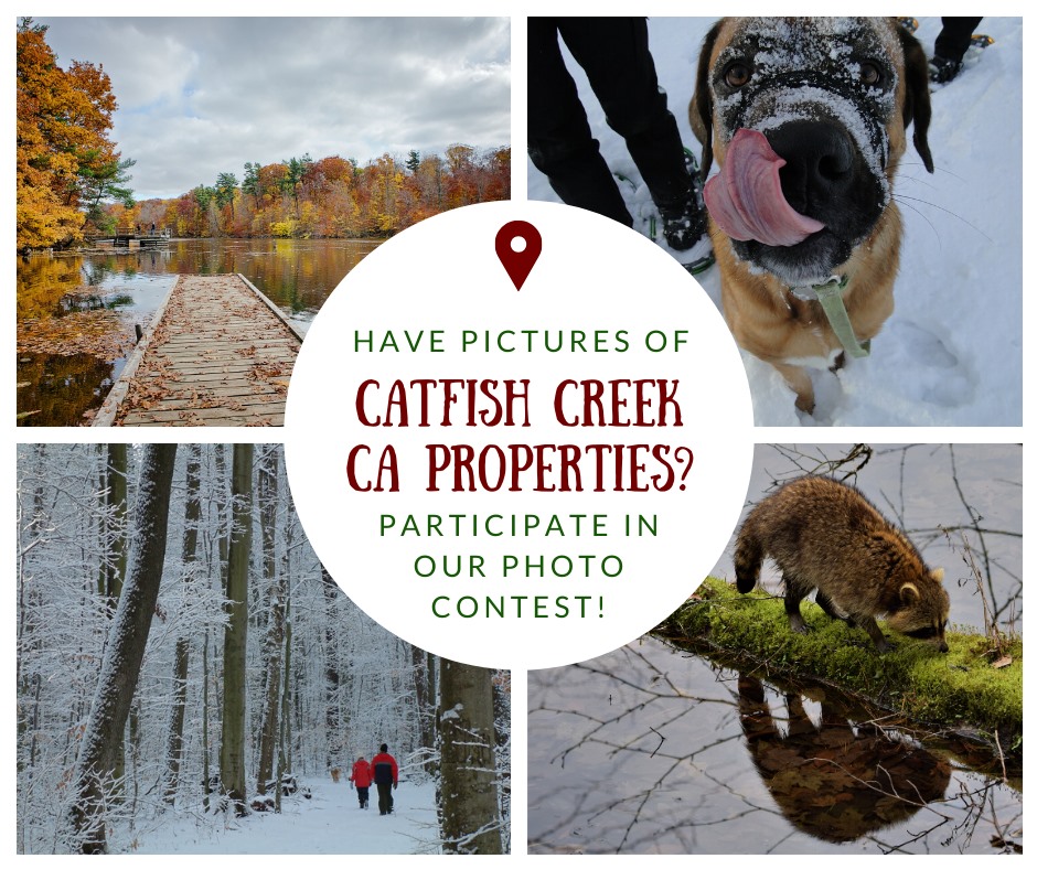 2025 Annual Report Cover Photo Contest – Catfish Creek Conservation ...